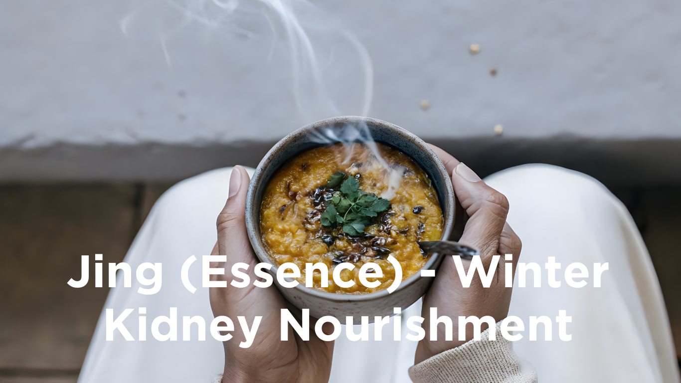 Jing (Essence) in TCM: How to Protect It in Winter – root + spring